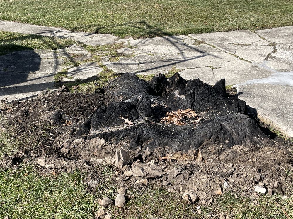 GROUND ZERO TREE STUMP GRINDING - Updated May 2025 - Request a Quote ...