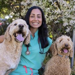 Best Vets Near Me - June 2025: Find Nearby Vets Reviews - Yelp