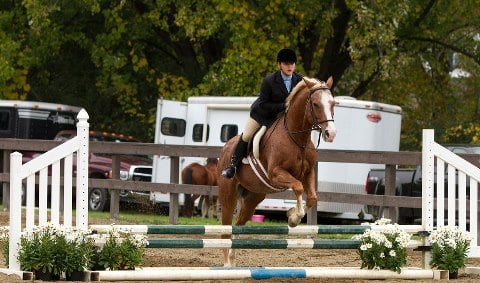 FOX RIDGE FARM - Updated August 2025 - 10 Photos - 511 County Rt 515 ...