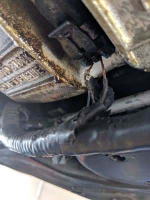 Sun Auto Service - Updated June 2026 - 46 Photos & 162 Reviews - 1055 W ...