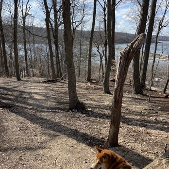 COLD SPRING HARBOR STATE PARK - Updated November 2024 - 252 Photos & 64 ...