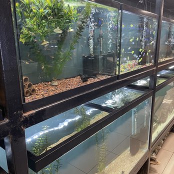 NATURE’S REEF & REPTILE - Updated December 2025 - 52 Photos & 30 ...