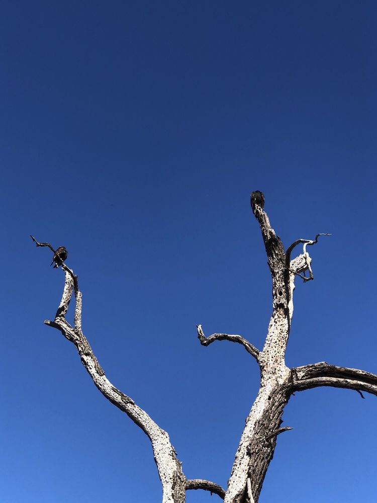 SYCAMORE GROVE PARK - Updated January 2026 - 383 Photos & 89 Reviews ...