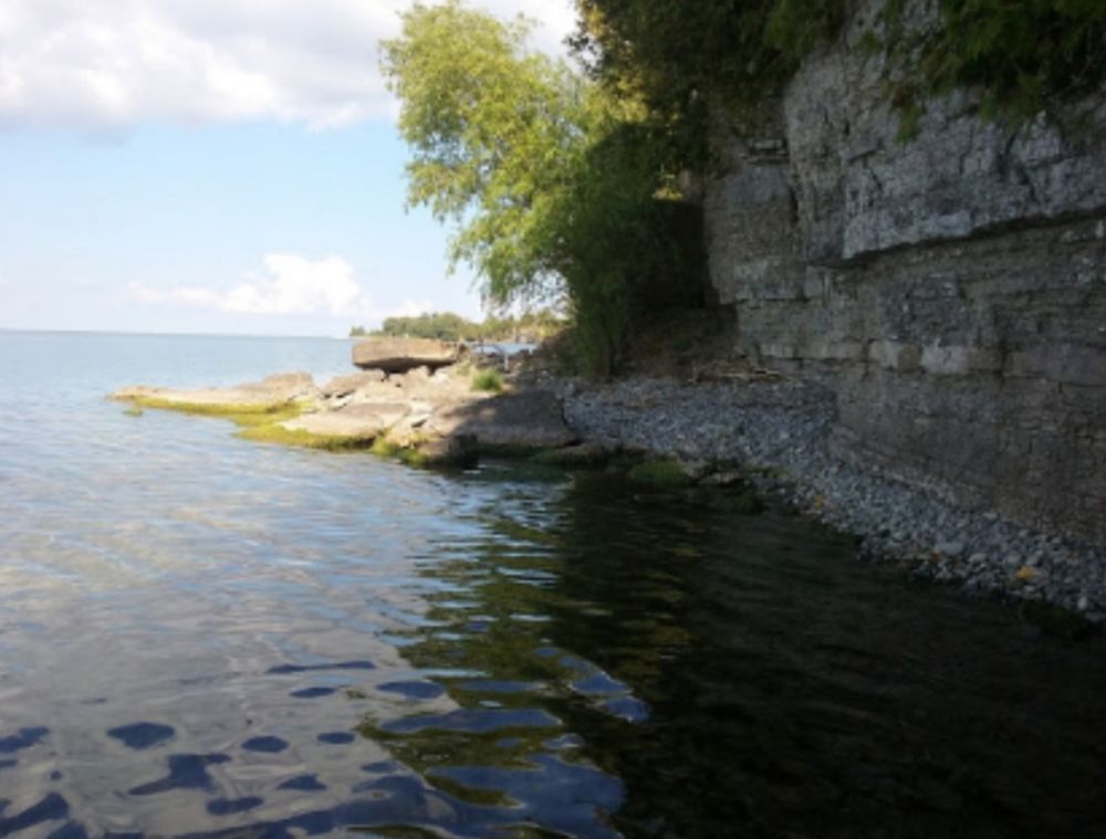 PRINCE EDWARD POINT NATIONAL WILDLIFE AREA - Updated September 2024 ...