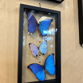 PAXTON GATE - Updated October 2025 - 198 Photos & 167 Reviews - 4204 N ...