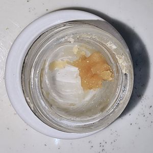 CITY LEAVES - Updated October 2025 - 30 Photos - 2516 Fire Rd, Egg ...