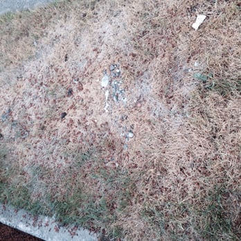 AA ASPHALTING - Updated January 2026 - 35 Photos & 14 Reviews - 14720 ...