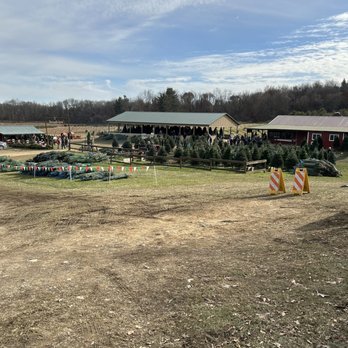 BROADVIEW CHRISTMAS TREE - Updated December 2025 - 28 Photos & 19 ...