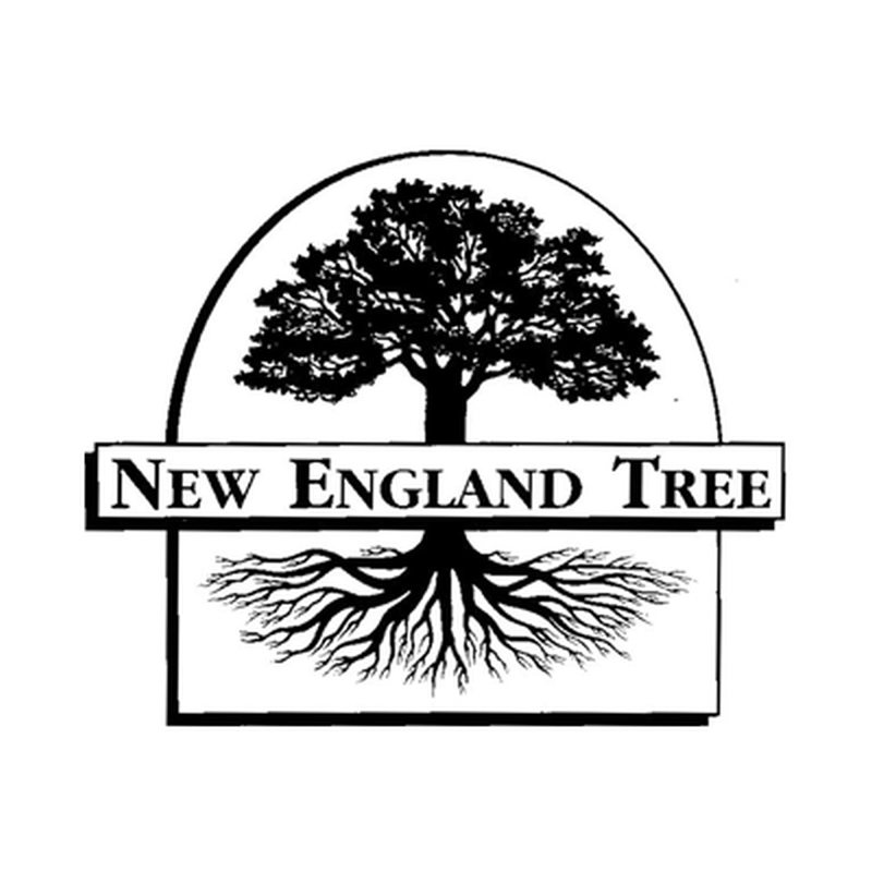 NEW ENGLAND TREE - Updated August 2024 - 111 South St, Bethel ...