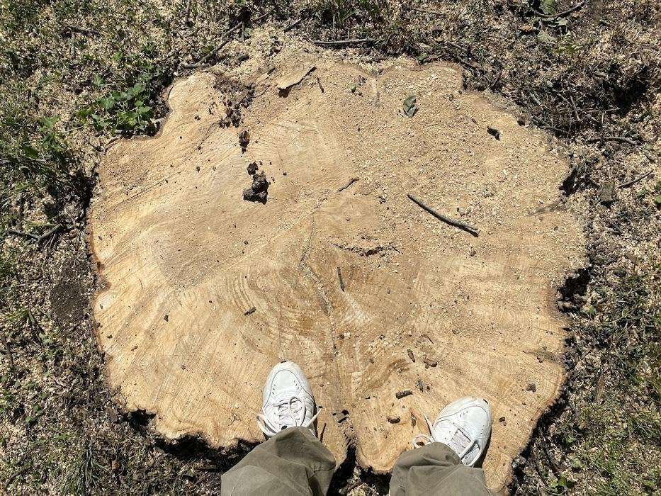 GILBERT’S STUMP GRINDING AND LANDSCAPING - Updated December 2025 - 30 ...