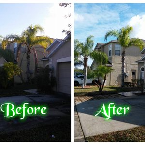 REAL TURF SOLUTIONS - Landscaping - 3433 Lithia Pinecrest Rd, Valrico ...