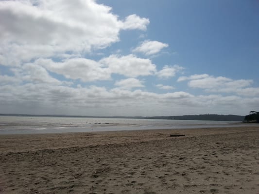 POINT CHEVALIER BEACH - Updated December 2025 - 12 Photos & 10 Reviews ...