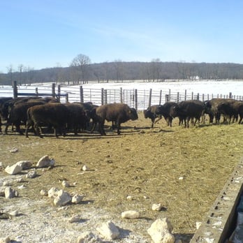 READINGTON RIVER BUFFALO FARM - Updated December 2025 - 13 Reviews ...