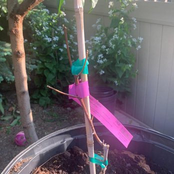 RESTORING EDEN - Updated 2024 - 42 Photos & 31 Reviews - 3503 S 228th ...