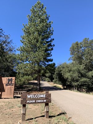 YMCA CAMP MARSTON - 59 Photos & 28 Reviews - 4761 Pine Hills Rd, Julian ...