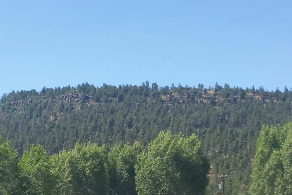 TOWN OF ALPINE - Updated November 2024 - Alpine, Arizona - Local Flavor ...