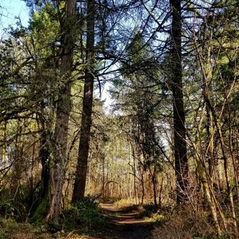 LOWAMI HART WOODS NATURAL AREA - Updated May 2025 - 25 Photos - 14895 ...
