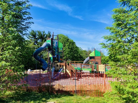 ROSE TREE PARK - Updated January 2026 - 347 Photos & 31 Real Reviews ...