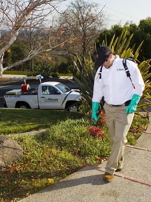 ECOGUARD - Updated October 2025 - 105 Photos - 920 Reviews - 808 ...