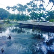 SCP HILO HOTEL - Updated September 2025 - 350 Photos & 236 Reviews ...