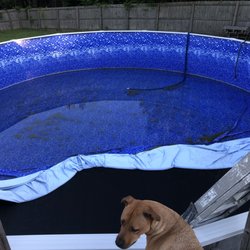 Best Pool Repair Near Me - October 2025: Find Nearby Pool Repair ...