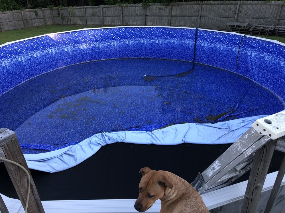 COOL IT JUST POOL IT - Updated January 2026 - 38 Photos & 13 Reviews ...