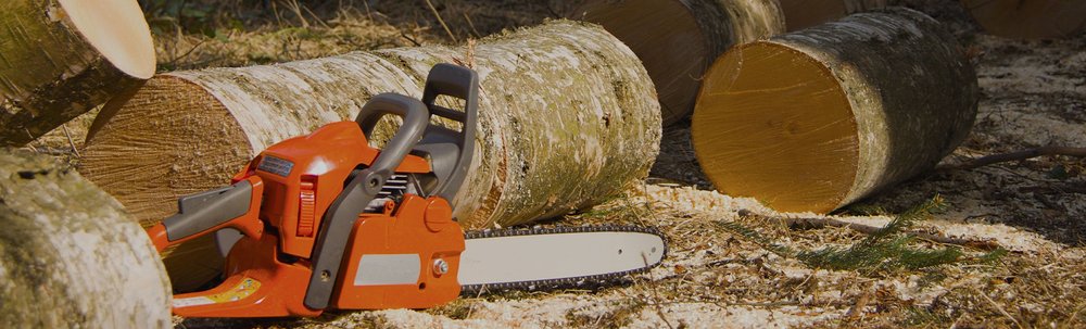 Ace Basin Tree Services - Trusted Since 2021 - Updated July 2025 - Walterboro, South Carolina ...