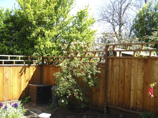 TRUE LINE CONSTRUCTION - Updated July 2025 - 17 Photos & 13 Reviews ...