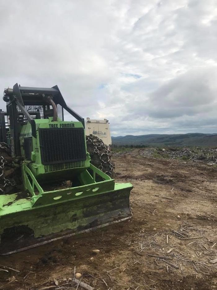 FORESTIER FRANKY LANGEVIN - Updated October 2024 - Normandin, Quebec ...