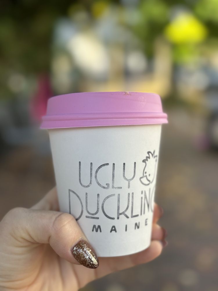 UGLY DUCKLING - Updated September 2025 - 145 Photos & 68 Reviews - 246 Danforth St, Portland ...