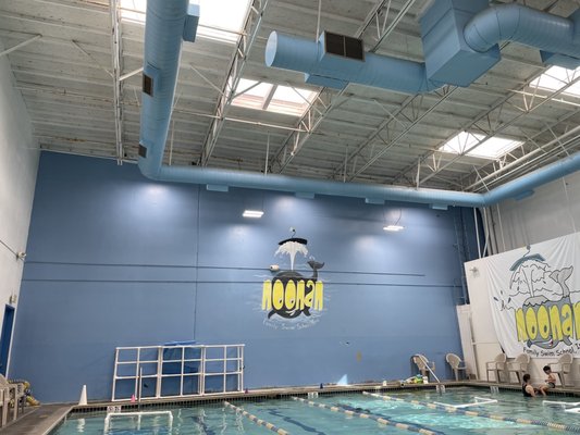 NOONAN FAMILY SWIM SCHOOL - Updated December 2025 - 118 Photos & 157 ...