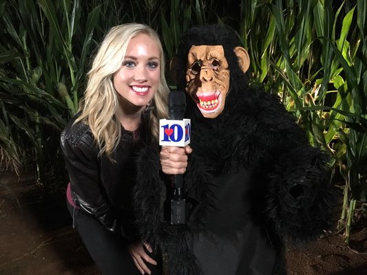 MAPLE LANE FARMS & CORN MAZE - 26 Photos - 1126 Maple Ln, Greenback ...