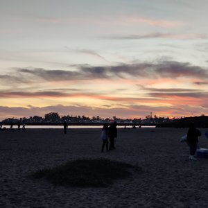 PANTHER BEACH - 434 Photos & 138 Reviews - Beaches - 10 Miles Hwy 1 N ...