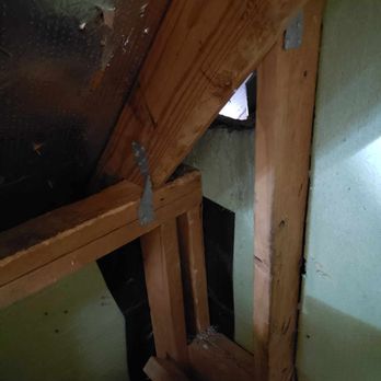 BERRETT PEST CONTROL - Updated October 2024 - 31 Photos & 164 Reviews ...