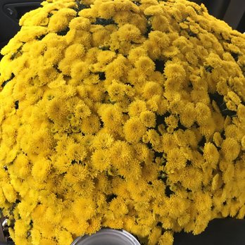 KING’S GARDENS - Updated January 2026 - 21 Photos & 14 Reviews - 4560 Nicholasville Rd ...