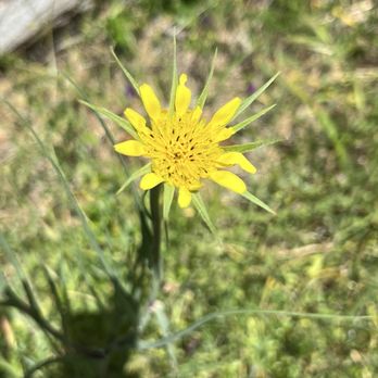 ROGUE X - Updated January 2026 - 17 Photos - 901 Rossanley Dr, Medford ...