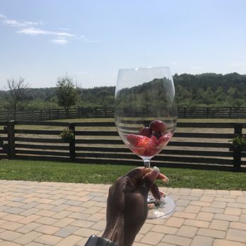 OTIUM CELLARS - Updated April 2024 - 126 Photos & 130 Reviews - 18050 ...
