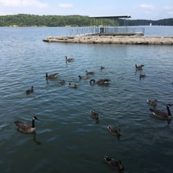 LAKE JACOMO MARINA - 29 Photos - Marinas - 7401 W Park Rd, Blue Springs ...