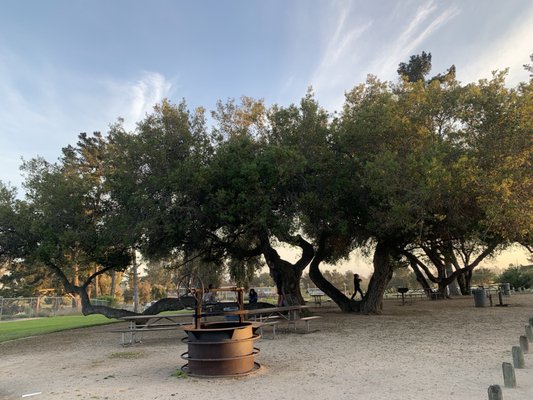 NIPOMO REGIONAL PARK - Updated March 2025 - 15 Photos - 255 Pomeroy Rd ...