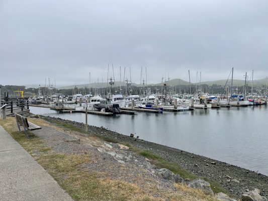 SPUD POINT MARINA - Updated June 2026 - 65 Photos & 10 Reviews - 1818 ...