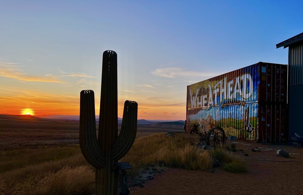 WHEAT HEAD BREWING CO. - Updated January 2026 - 73 Photos & 30 Reviews ...