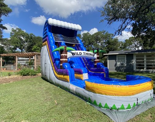 JUMPING FROGS BOUNCE HOUSE - Updated October 2024 - San Antonio, Texas ...