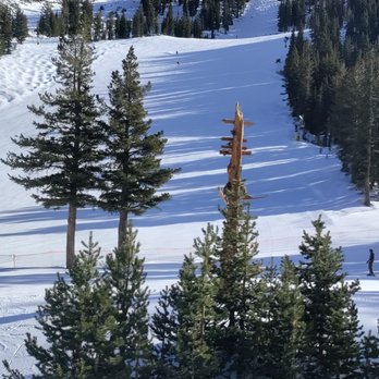 MT ROSE SKI TAHOE - Updated February 2025 - 1075 Photos & 438 Reviews ...