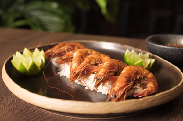 ZAMA - Updated December 2025 - 611 Photos & 344 Reviews - 213 N Harbor ...