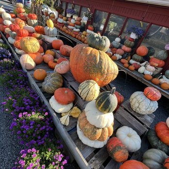 NALLS PRODUCE - Updated October 2025 - 394 Photos & 139 Reviews - 7310 ...