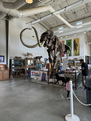 FOSSIL DISCOVERY CENTER OF MADERA COUNTY - Updated November 2025 - 145 ...