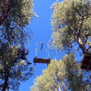 FLAGSTAFF EXTREME ADVENTURE COURSE - 303 Photos & 353 Reviews - 2446 ...