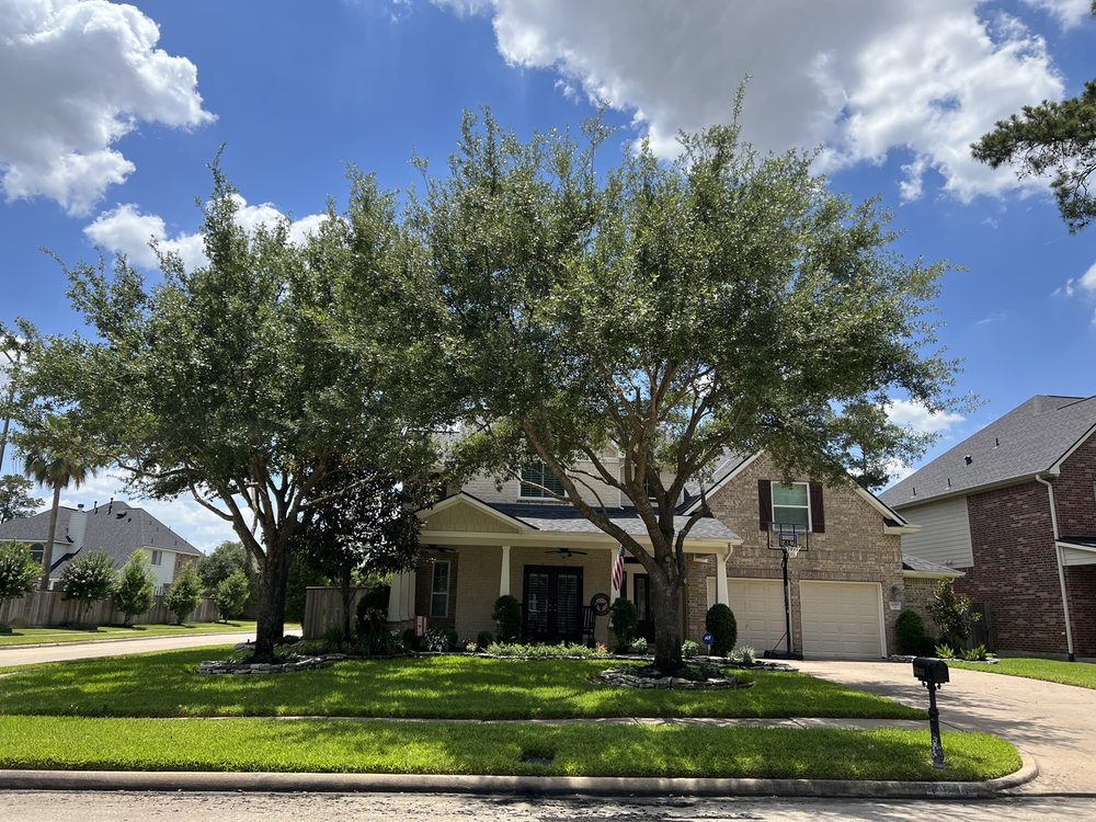 NATURE’S TREE REMOVAL - Updated October 2025 - 18 Photos - 8300 Farm to ...