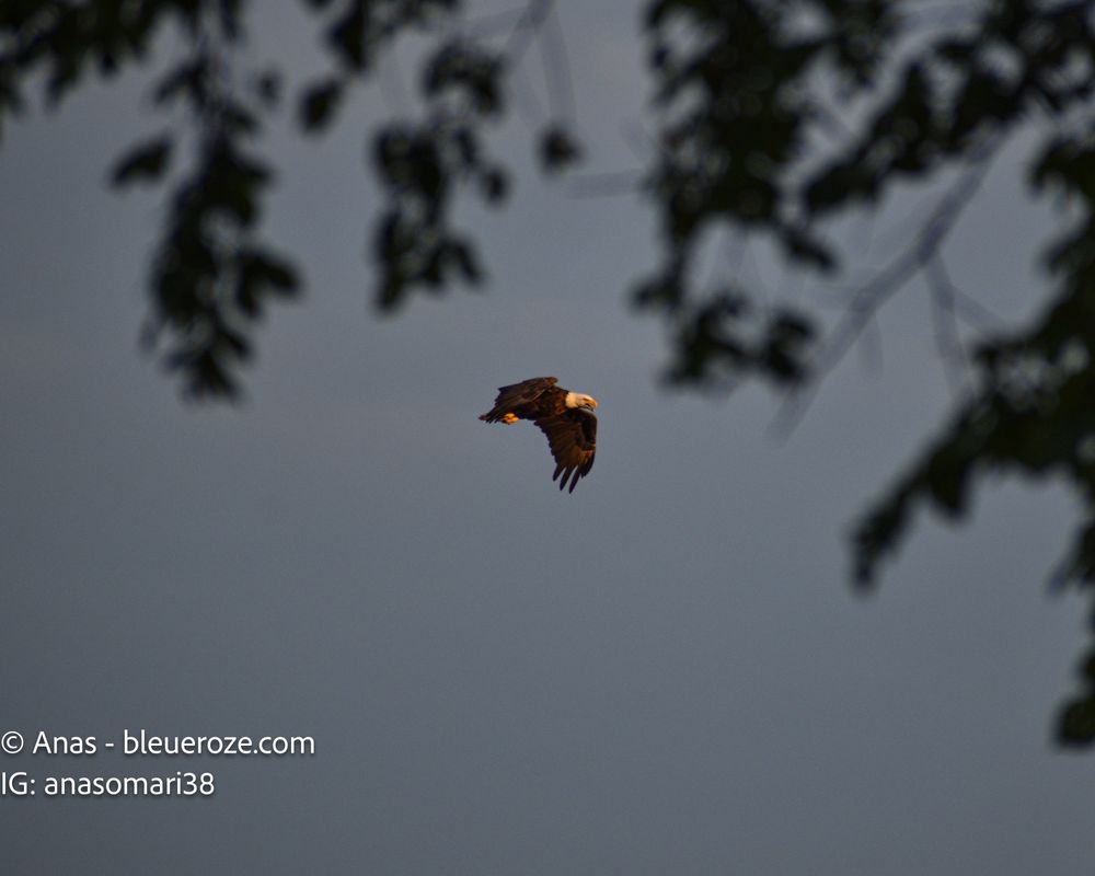 WINDSOR LOCKS CANAL TRAIL STATE PARK - Updated January 2026 - 302 ...