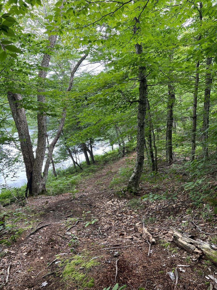 MASONIC YOUTH CAMP - Updated October 2025 - 34 Photos - 6461 Round Lake ...